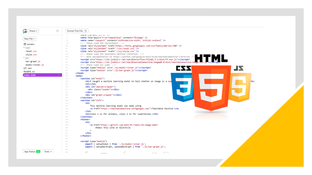 Wild Web Design | Wize Computing Academy